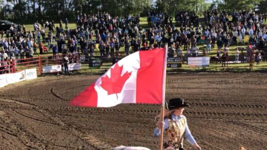 Bull riding on Saturday afternoon among new additions for 2026 Daines ...